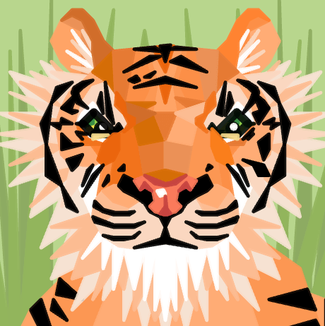 Desmos | Art Contest Finalists