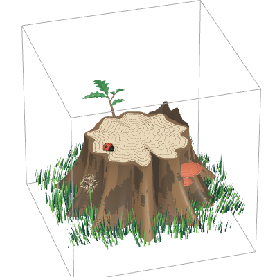 Still Life | Desmos