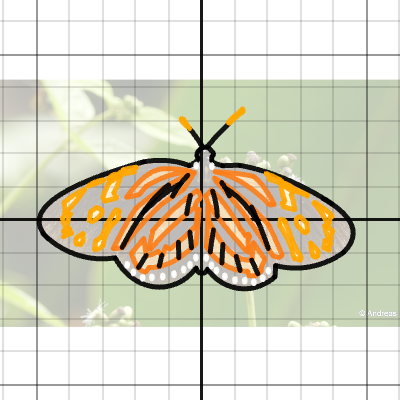 Butterfly project | Desmos