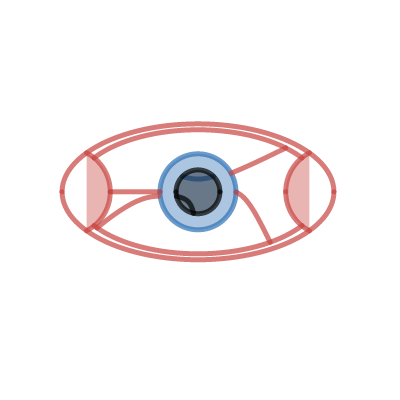 Eye of the Beholder | Desmos