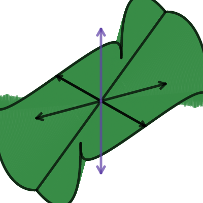 Split-complex taxicab transform | Desmos
