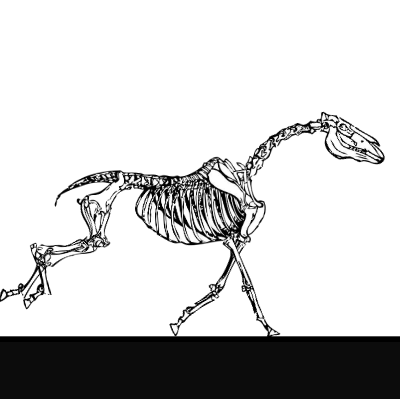 horse died, can't ride it | Desmos