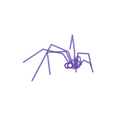 spider | Desmos