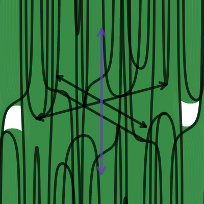 Split-complex excosecant | Desmos