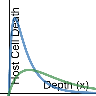 Concentration vs. Position | Desmos