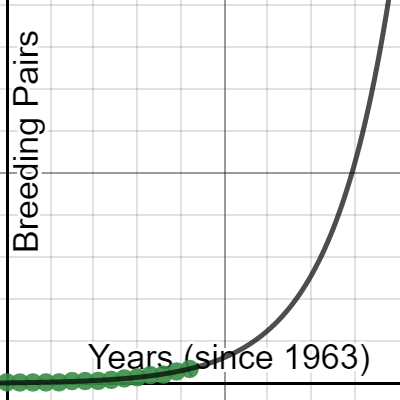 Eagles Homework Project A| Desmos