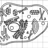 "Cell"ebrate God Times | Desmos