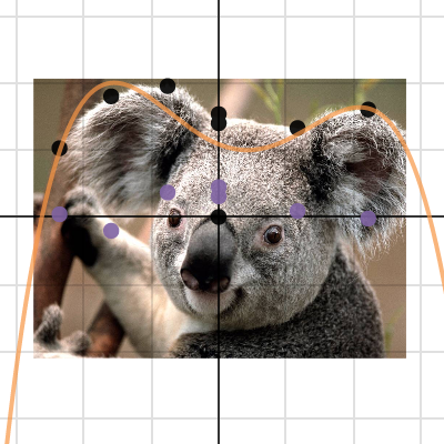 Koala Fit| Desmos