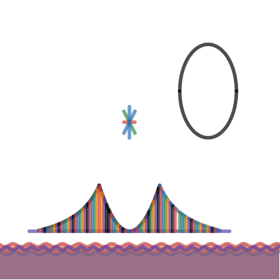 Desmos Identity graph | Desmos