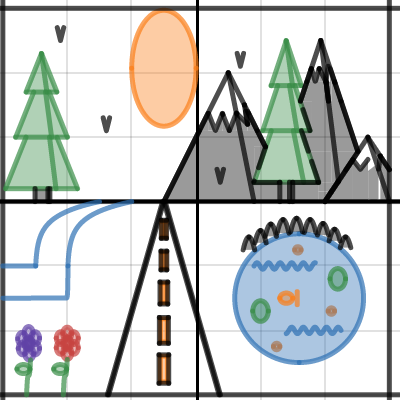Midterm Project! | Desmos