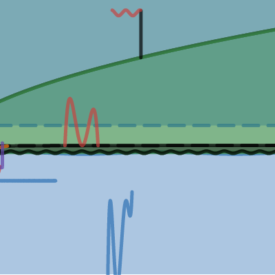 Summer theme | Desmos