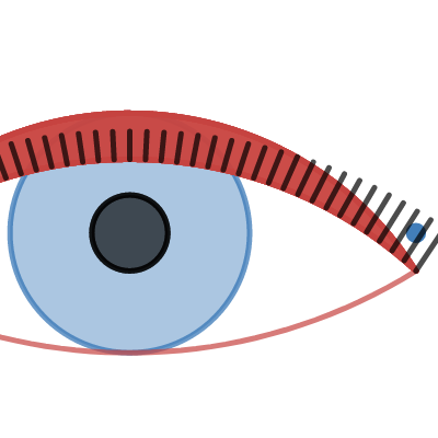 Miller's Eye | Desmos