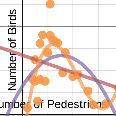For the Birds Scatter Plot | Desmos