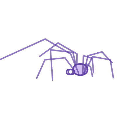 spider | Desmos