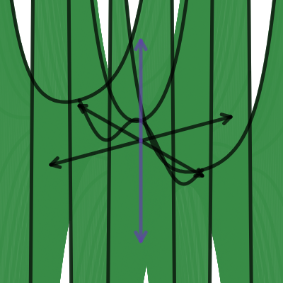 Complex hyperbolic cosine | Desmos