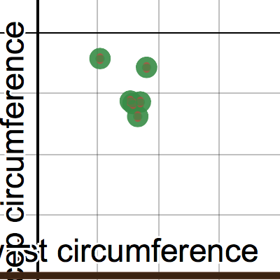 LT1--Paragraph Lab | Desmos