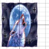 Wolf Project | Desmos