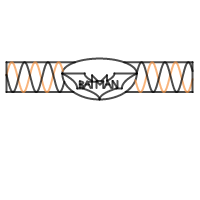 Saleema Ali | Desmos