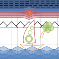 Desmos Project | Desmos