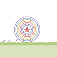 Sock Monkey Goes Zorbing | Desmos