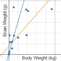 Animal Brains | Desmos