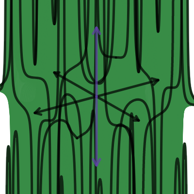 Split-complex secant | Desmos