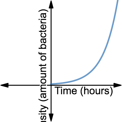 Bacteria graphs | Desmos