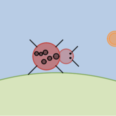 Lady Bug ??????? | Desmos