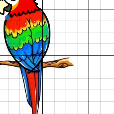 Parrot graph | Desmos