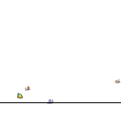 Snail Race | Desmos