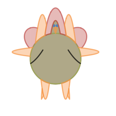turkey | Desmos